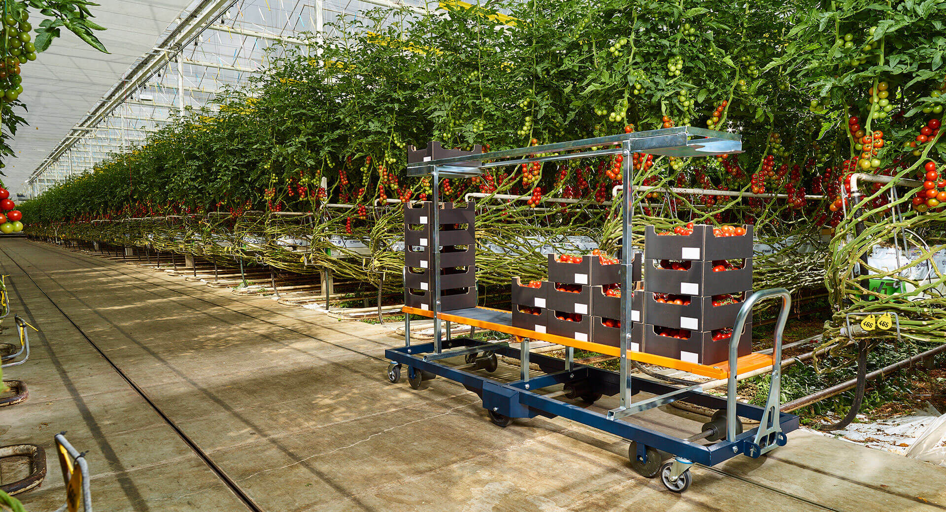 Horticulture driven by Dutch experience! | Berg Hortimotive